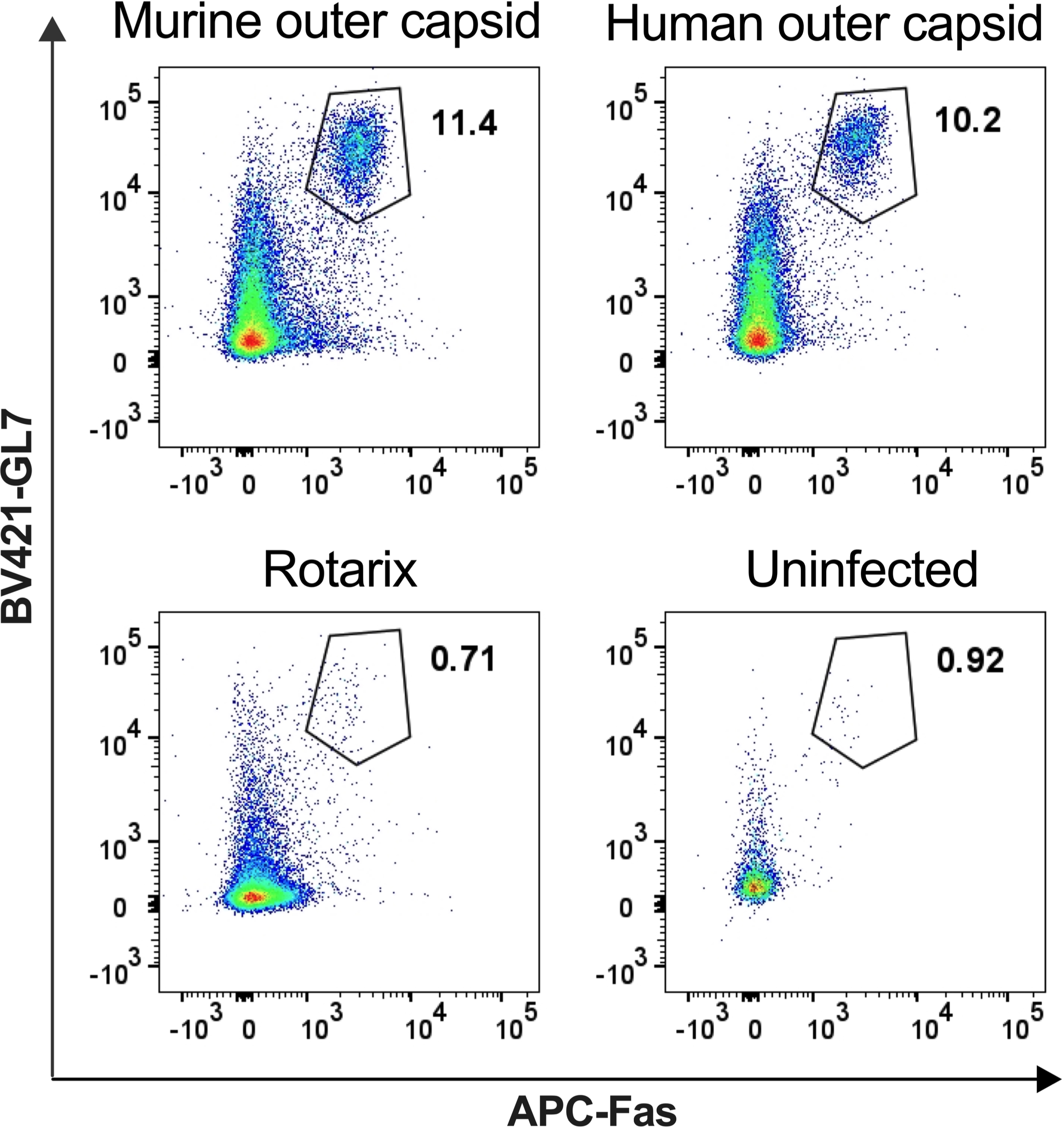 Publications — Caddy Lab
